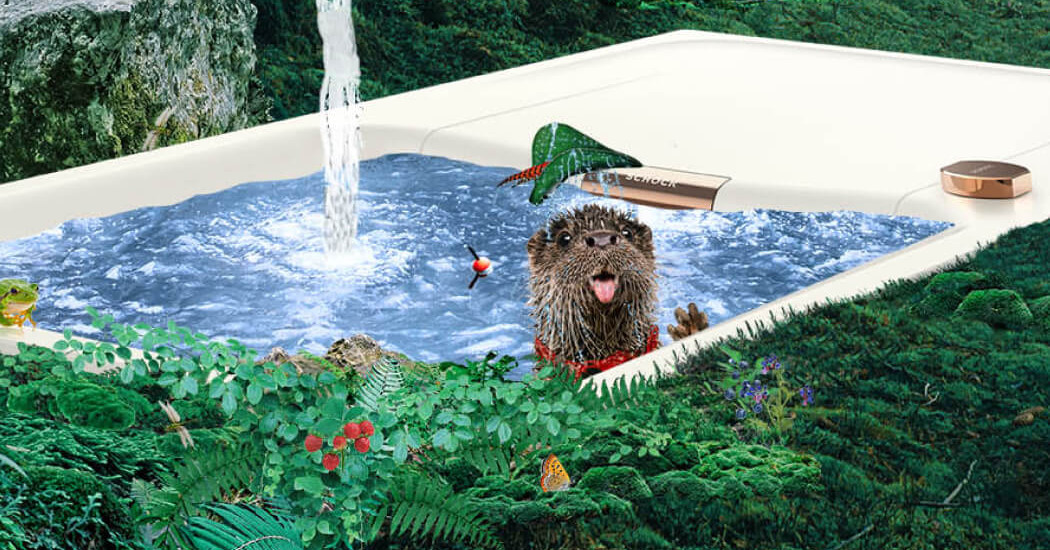 sinks, kitchen taps & accessories for your kitchen | SCHOCK Home